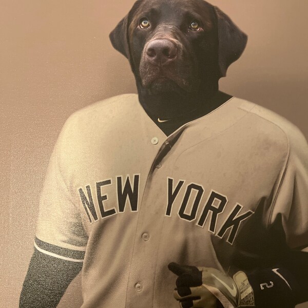Custom Baseball Pet Portrait: New York Yankees Dog Art - Etsy