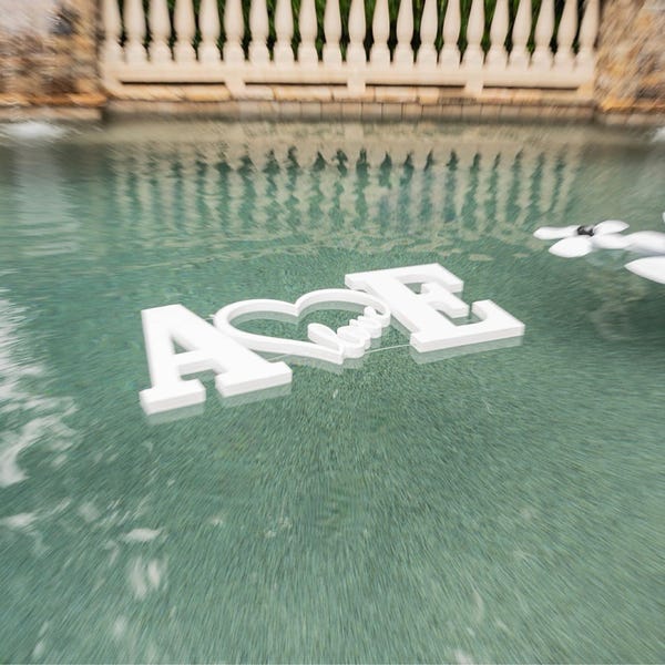 Custom Grad Foam Letters for Pool Party Decor Styrofoam Letters for ...