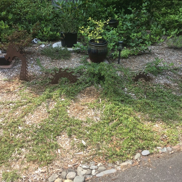 Rusty Metal Dragon Garden Sculpture / Sea Serpent Garden Sculpture ...