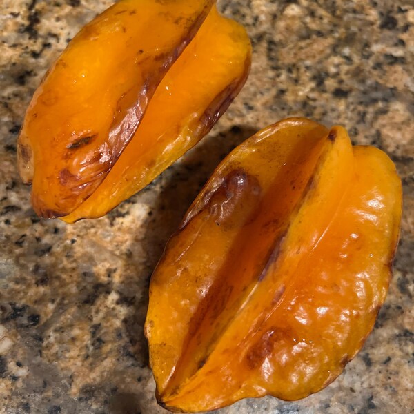 Bruce Canistel Seedling Egg Fruit Pouteria Campechiana Zapote Amarillo ...