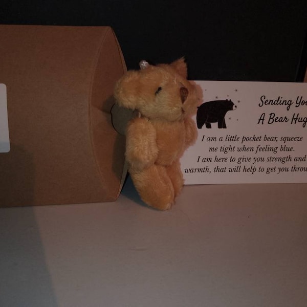 A Little Pocket Bear Hug - Ready to Give Bear Hugs to Whoever Needs One ...