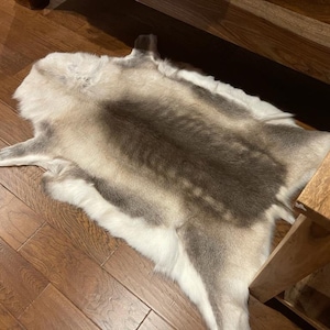 Scandinavian Reindeer Hide Real Reindeer Skin Rug Genuine - Etsy
