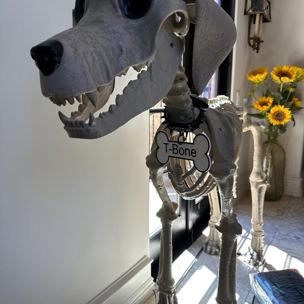 3D Printed Custom Dog Bone Name Tag for 7ft Skelly Dog White/black - Etsy