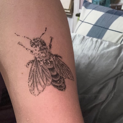 Polyphemus Moth Temporary Tattoo Lifecycle Design Nature - Etsy