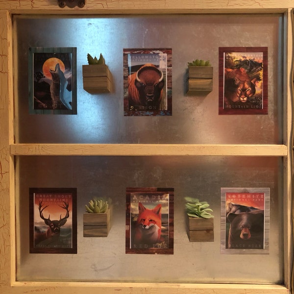 Big Bend National Park Coloring Page, Printable Coloring Pages, Instant ...