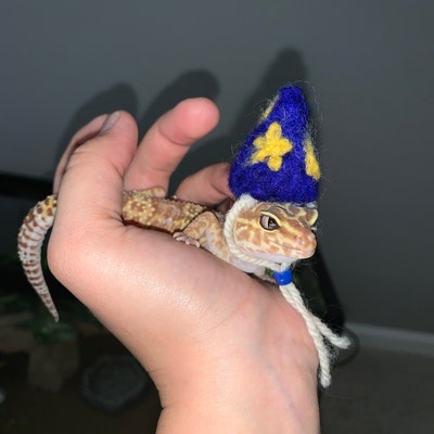 Leopard Gecko and Other Lizard Hats - Etsy