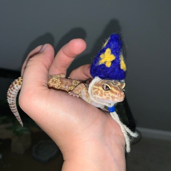 Leopard Gecko and Other Lizard Hats - Etsy