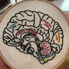 DIY Brain Embroidery Pattern, Brain Anatomy Embroidery Pattern ...