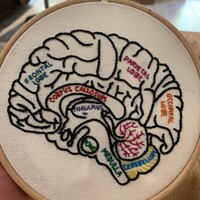 DIY Brain Embroidery Pattern, Brain Anatomy Embroidery Pattern ...