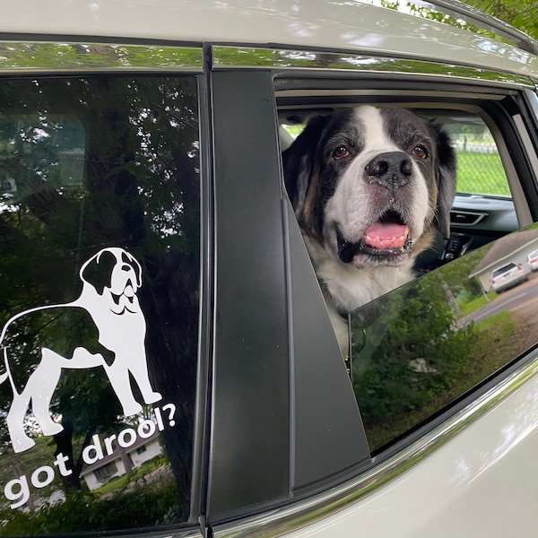 Saint Bernard Got Drool | High Quality Adhesive Vinyl Dog Window Decal ...