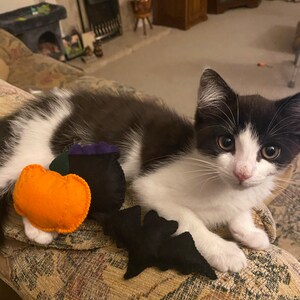 Magical Purple Moon Cat Toy With White Embroidered Stars - Etsy