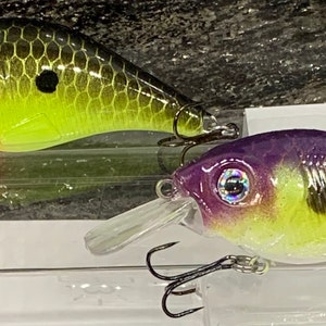 Hand Painted Blue Shad Fishing Lure Crank Bait - Etsy