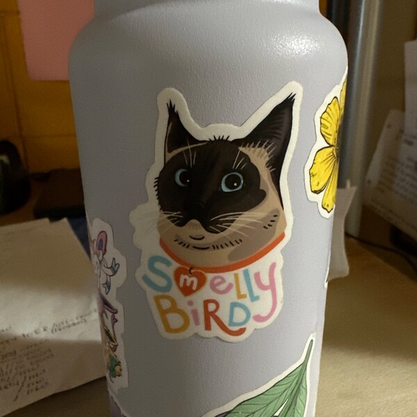 Merv the Cat Vinyl Sticker 2-pack / Mervthecat / Cat Sticker / Funny ...