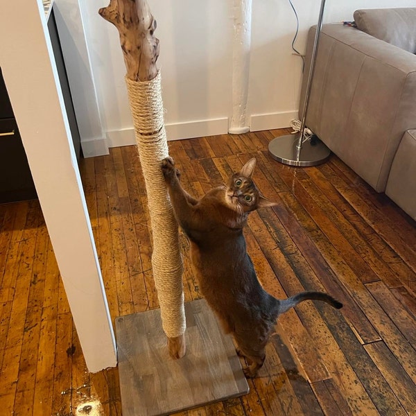 Unique Scratching Post, Cat Climbing Tree With Toys, Solid Wood ...