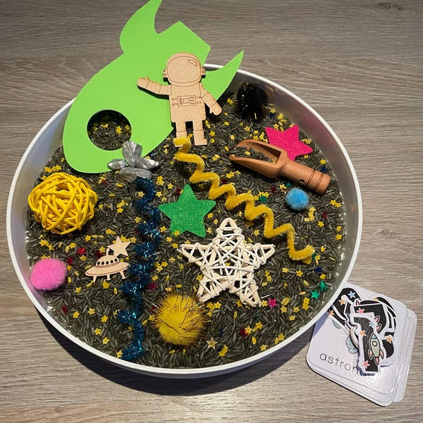 Sensory Play Pack - Bugs Sensory Play - Sensory Rice - Sensory Activity ...