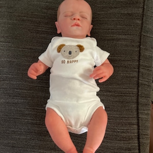 Reborn Sugar free Shipping - Etsy