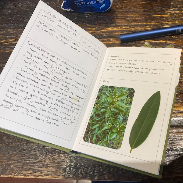 Medieval Weekly Planner Notepad, Illuminated Manuscript, Planner ...