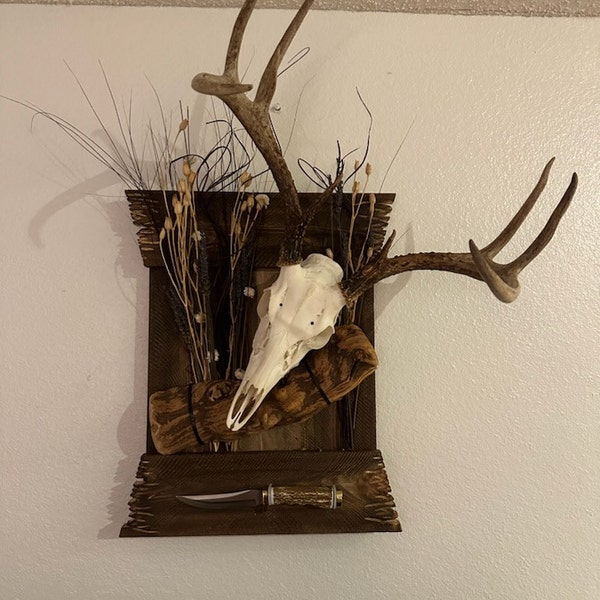 Euro Deer Skull Mount - Etsy