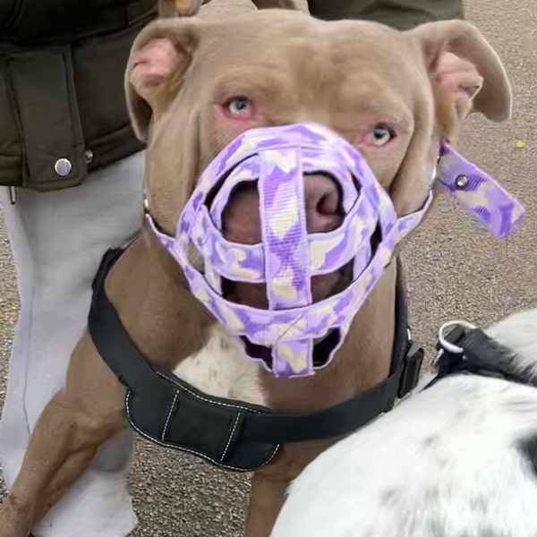 Pitbull Amstaff Muzzle With an Additional Strap , Dog Muzzle, Nylon ...
