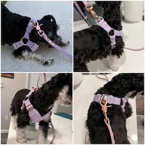 Daisy Chiffon Crop Top XS-2XL Dog-shirts Dog Top Dog - Etsy