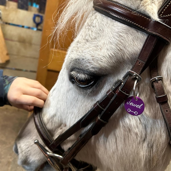 Personalized Horse Blanket Tag, Horse Rug Tag, Tack Tag, Horse Name Tag ...