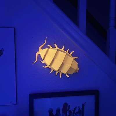 DIY Papercraft Isopod,bug Svg,papercraft Bug,papercraft Insect,low Poly ...