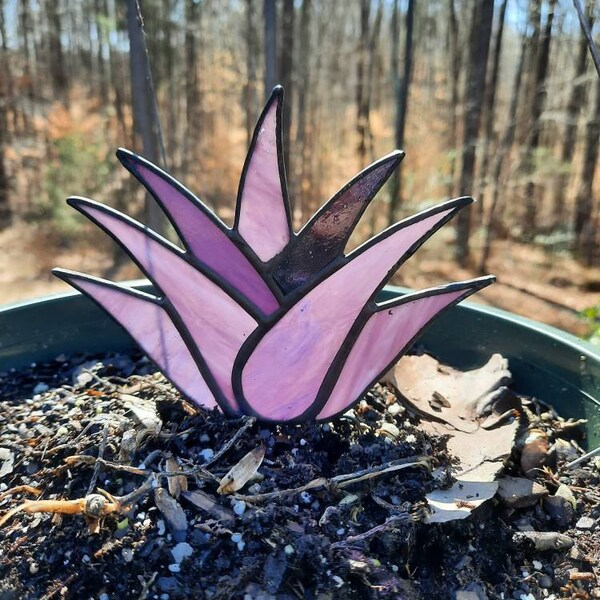 Purple Agave Stained Glass - Etsy