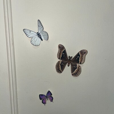 Medium Luna Moth Paper Cutouts Realistic Paper Moths 5 - Etsy