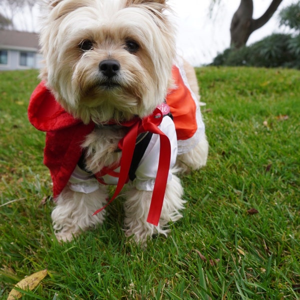 DOG Cape With Hood - Etsy