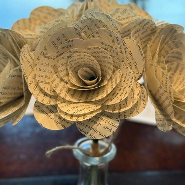 Edgar Allan Poe Book Roses - Etsy