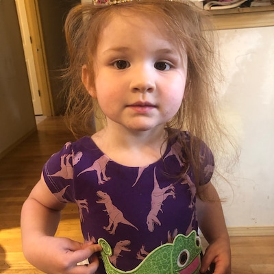 Rapunzel Crown, Silver Princess Costume Tiara, Adult or Little Girl ...