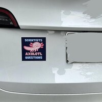 Daddy and Me Big Dipper and Little Dipper Shirts, Great for Father's ...