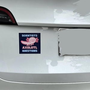 Data Science Sticker, Laptop Stickers, Holographic Vinyl Sticker, Water ...