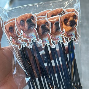 Drink Stirrers Personalized With Dog Face, Pet Birthday Stir Sticks ...