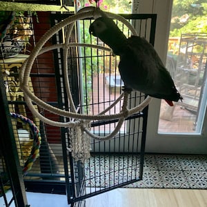 Extra Large Parrot 3 Ring Orbit Swing - Etsy