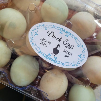 Custom Pickle Labels, Printed Personalized Stickers for Canning ...