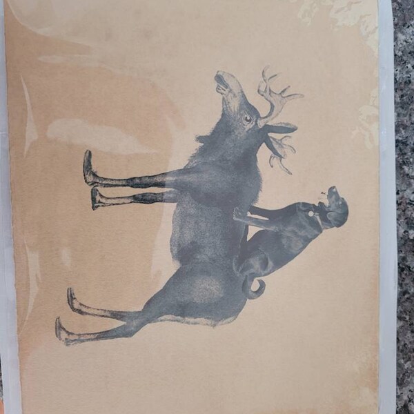 Labrador Retriever Chocolate Lab Riding Moose Vintage Collage Art Print ...