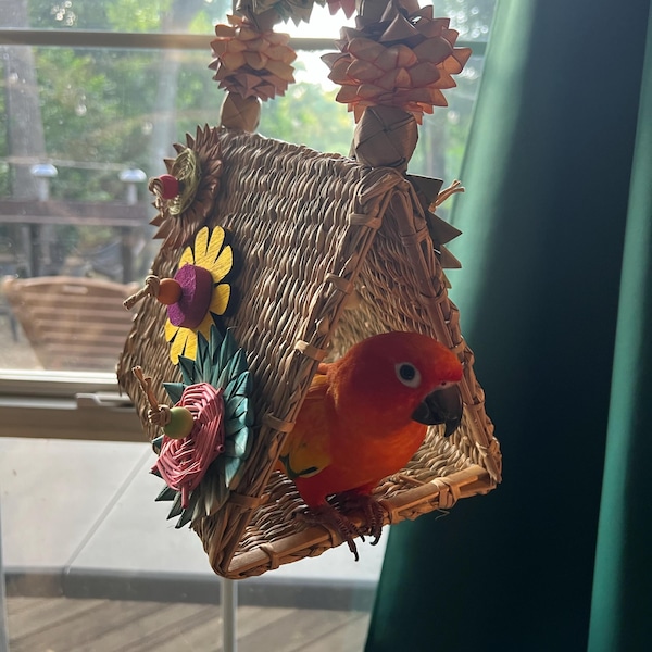 Botanical Bliss Seagrass Foraging Tray - Rose Blossom - Foraging Tray ...