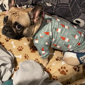 Corgi Cute Love Butt Fluffy Bum Heart Shaped Black Coated | Etsy