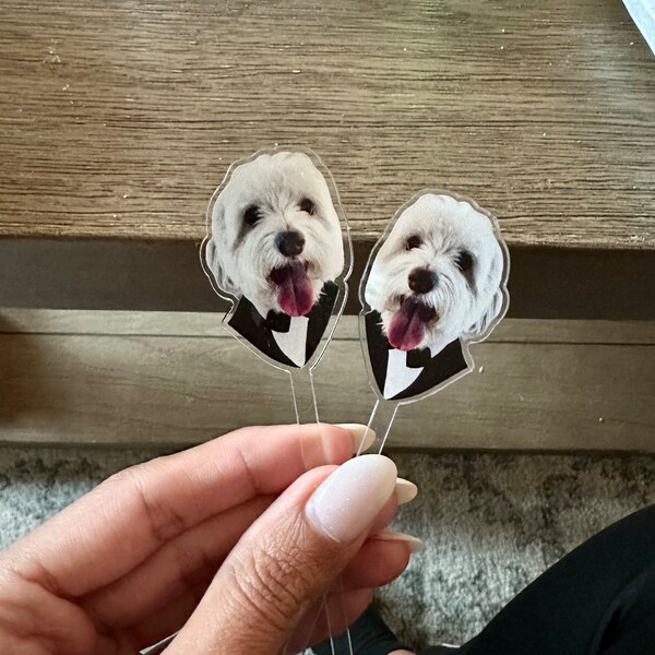 Printed Signature Dog Pet Stir Stick, I Do Too & Dog of Honor, Tuxedo ...