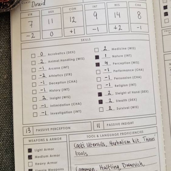 The Campaign Journal for Dungeons and Dragons 5e A5 Softcover Notebook ...