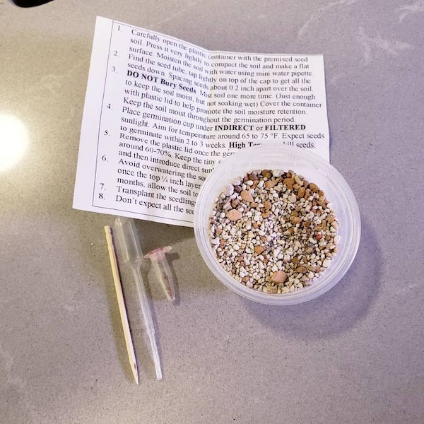 20 Seeds Lithops Aucampiae Mix / Freshly Harvest 20 Premium Quality ...