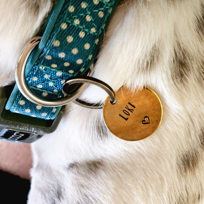 Personalised Dog ID Custom Dog ID Dog Name Tag Dog ID - Etsy Australia