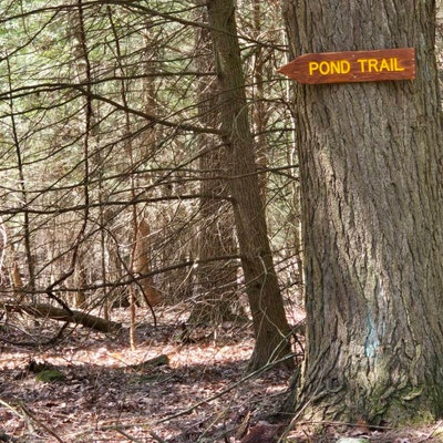 Campground Signs, Park Signs, Customizable, Carved, Routed, Cedar, Hand ...