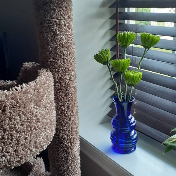 False Bay Box by Richard Nevels, Spalted Maple, Handmade Box - Etsy