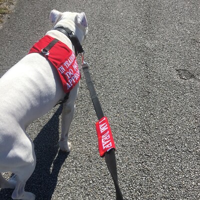 Vest adjustable Size, in Training Do Not Approach, Light Weight Sd ...