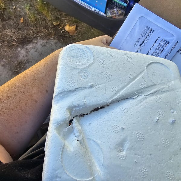 Red Dragon Shirt Chinese Zodiac Lunar Year of the Dragon T-shirt Gift ...