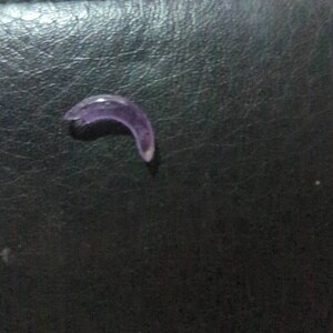 Violet Charoite Stone CURVED SEPTUM TUSK Tribal Septum Nose - Etsy