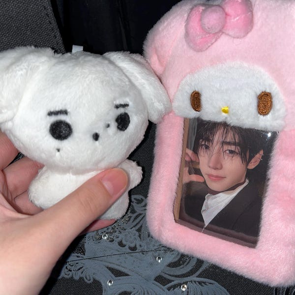 Enhypen Plushy Keychains - Cute Kpop En-doll Animal Keyring - Engene ...