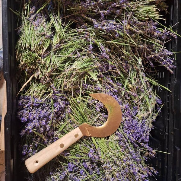 PKS Solid Copper Garden Tool “enif” Root Pruner Electroculture ...